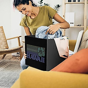 Hawaii Storage Bins with Handles Cube Closet Organizers and Storage Boxes Folding Basket for Shelves 2PCS