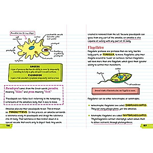 Workman Publishing Company - To Ace Biology in One Big Fat Notebook
