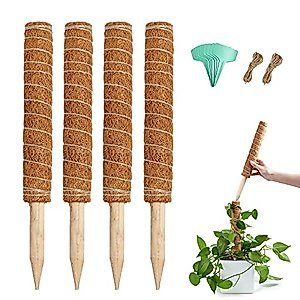 joyhalo Moss Pole- 15.7 Inch Moss Stick for Potted Plants, 4 Pcs Plant Support for Climbing Plants Monstera, Coir Totem Pole