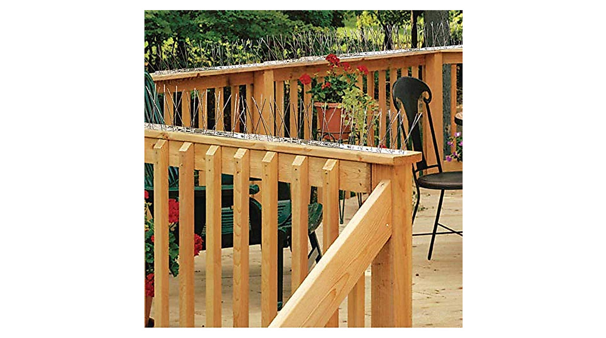 PANGCH Bird Spikes for Pigeons Small Birds,Stainless Steel Bird Spikes -No More Bird Nests ...