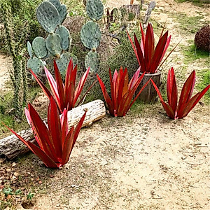 DIY Snake Plants Tequila Sculpture Metal Agave Plant Garden Figurines Yard Decoration Artificial Agave Statue Fake Plants for Patio Outdoor Garden(A-1 Set)