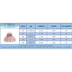 Nileafes Toddler Formal Dress Tulle Fluffy Dresses Baby Girls Princess Dress Size90 (1-2 Years,766 Pink-N)