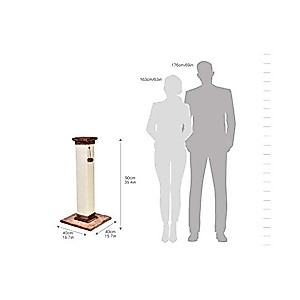 Amazon Basics Tall Cat Scratching Post with Jute Fiber and Brown Carpet, Large, 16’’ x 16’’ x 35’’