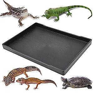 YOLUFER Reptile Food Water Bowl Plate Dish for Tortoise Crawl Pet Drinking and Eating Hallow Water Dish for Reptiles (Size3-L)