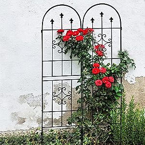 eLeGreen 2 Pack Metal Garden Trellis for Climbing Plants 19.7''x 71'' Rustproof Metal Rose Trellis Vines Peas Support Plant Stand Black