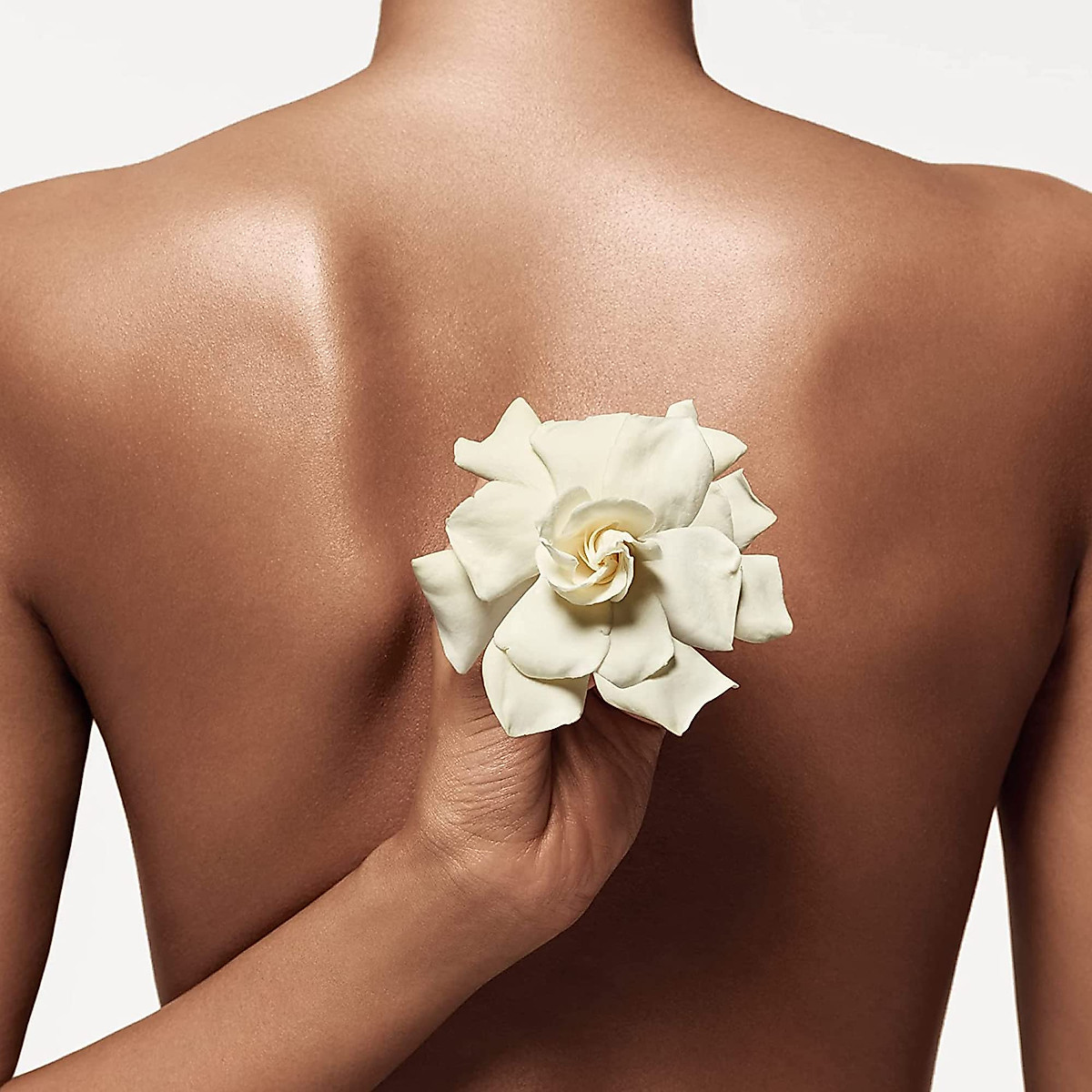 Donna Karan Cashmere Mist Eau de Toilette Perfume Spray For Women, 1.7 Fl. Oz.