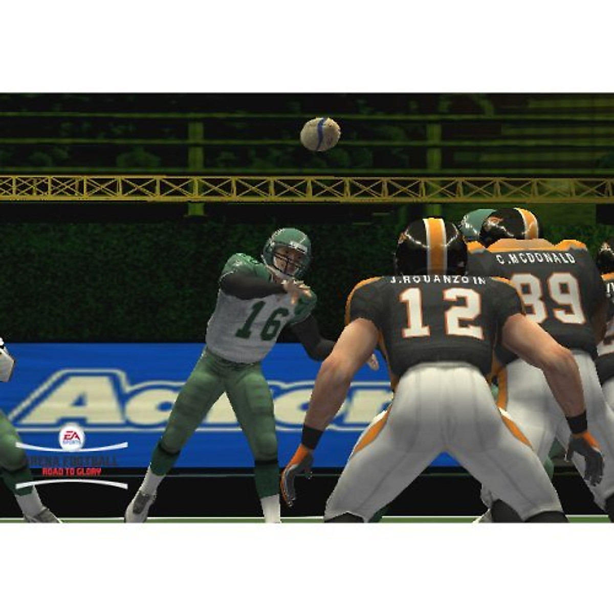 Arena Football: Road to Glory (Renewed)