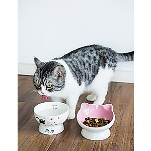 AISBUGUR Ceramic Cat Bowls Set of 2, Elevated 15 Tilted Design for Indoor Cats, Large Capacity, Easy to Clean, Non-Slip Base, Cute Pattern,Pink