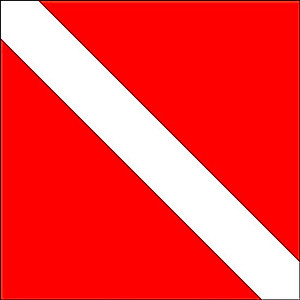 CafePress Diver Down Mug Ceramic Coffee Mug, Tea Cup 11 oz