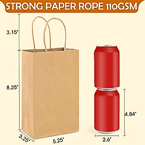 XPCARE 100Pcs Paper Gift Bags 5.25x3.25x8.25'', Small Paper Bags with Handles Bulk, Shopping Bags, Kraft Bags, Retail Bags, Party Bags Brown(Brown)