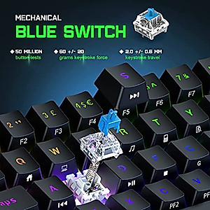 Compact 60% Mechanical Gaming Keyboard with Ergonomic Anti-ghosting Mini 61 Key Layout Rainbow RGB Backlight Waterproof Metal Plate Type-C USB Wired for PC Mac Gamer Office Typist (Black/Blue Switch)