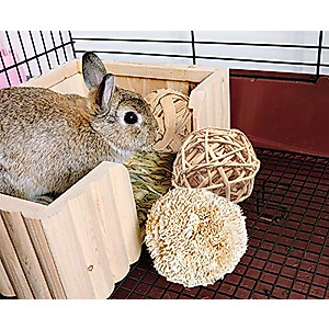 CooShou Small Animals Play Balls Rabbit Rolling Activity Toys Bunny Chewing & Gnawing Treats Toys for Guinea Pigs, Rabbits, Chinchilla, Hamsters 7Pcs