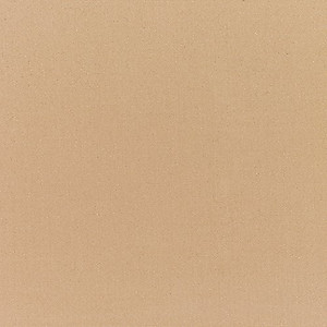 Sunbrella Canvas 5468-0000 Camel Fabric, Beige