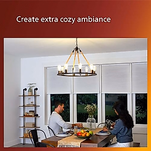 PHILIPS LED Vintage Flicker-Free Clear Spiral A19 Dimmable, Eyecomfort Technology, 500 Lumen, Soft White(2700K), 5.5W=40W, Title 20 Certified, E26 Base (565788), 1 Count (Pack of 1)