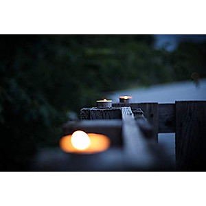 Bluecorn 100% Pure Beeswax Tea Lights in Metal Cups - Bulk Candles (48-Pack) - Tealight Candles - Beeswax Candles - Handmade in Colorado Since 1991