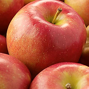 Golden State Fruit Fruitful Trio Deluxe Gift