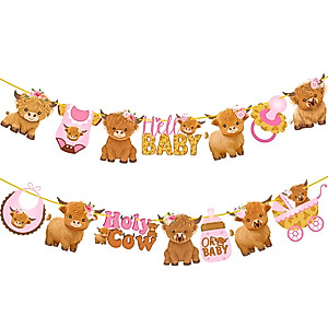 Pink Highland Cow Banners 2Pcs Highland Cow Baby Shower Party Decorations Holy Cow Baby Shower Banner Highland Cattle Cutout Decorations for Girl Oh Baby Cow Birthday Party Supplies