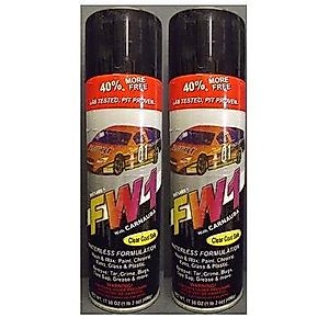 FW1 Cleaner With Carnauba Wax by RGS Labs (17.50 oz Cans) 2 Pack