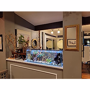 11 Gallon Clear Glass Bookshelf Aquarium 5mm Thick Glass