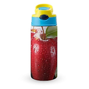 Stainless Steel Water Bottles Red Apple Fruit Travel Water Cups with Handle And Silicone Straw Drinking Cup with Leak Proof Lid Thermo Travel Mug for Women Men