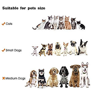 HAITRAL Elevated Pet Bed - Breathable Raised Cot Bed for Small Cats & Dogs - Indoor or Outdoor Summer Cooling Perch for Kitty & Puppy 27 x 21 x 7 Inches Brown