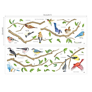 DECOWALL DWL-2015 Garden Birds Wall Stickers Wall Decals Peel and Stick Removable Wall Stickers for Kids Nursery Bedroom Living Room