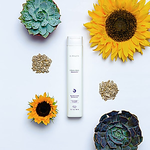 L'ANZA Healing Smooth Glossifying Shampoo, Nourishes, Repairs, and Boosts Hair Shine and Strength for a Perfect Silky-Smooth, Frizz-free Look (10.14 Fl Oz)