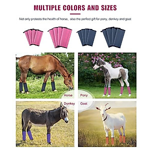 Fly Boots for Horse Leggins,Horse Fly Boots,Horse Leg Protection Set of 4(Pony/Donkey,Blue)
