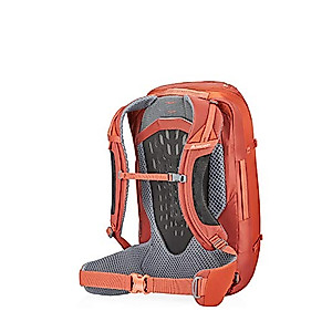 Gregory Men's Backpack, Orange (Ferrous Orange), One Size