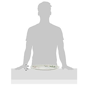 Lenox 882266 Butterfly Meadow Flutter Eastern Bluebird Platter