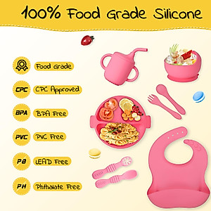 Aainbeots Silicone Baby Feeding Set, 10 Pcs Baby Led Weaning Supplies with Suction Bowl and Plate, baby feeding set with Adjustable Bid,Sippy Cup with Straw and Lid, Mommy Ark Set Suit for 6+Months