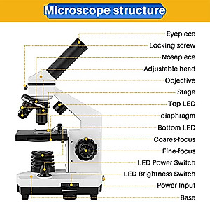 BEBANG 100X-2000X Microscope for Kids Students Adults, with Microscope Slides, Professional Biological Microscope Kit for Kids Students School Laboratory Education