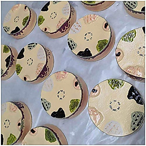 Anatomy Model Human Skin - Skin Enlarged Anatomy Model - Medical Anatomical Skin Structure Model Medical Teaching Model - for Medical Educational Aid