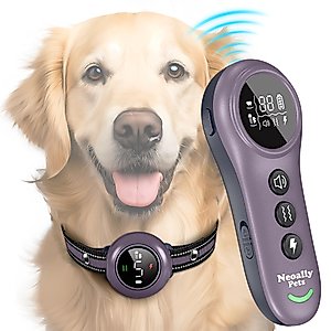 Neoally 2 in 1 Dog Training and Bark Control Collar: Smart Anti Barking Collar with and with No Remote for 5-150 lbs Small Medium Large Dogs. Rechargeable and Waterproof Receiver (Purple)