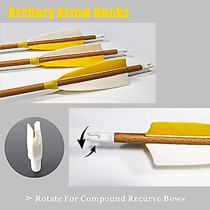 Carbon Arrows 500 Spine with Real Feather Fletching and Field Points for Archery Target Shooting (6 Pack)