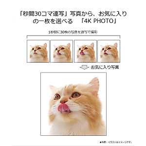 Panasonic digital camera Lumix TZ85 optical 30 times Silver DMC-TZ85-S - International Version (No Warranty)