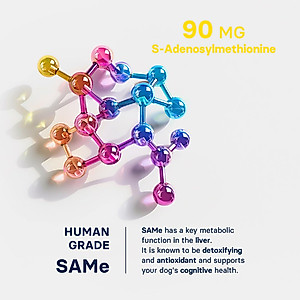 SilymarinAdvanced Liver Health Supplement for Small Dogs, S-Adenosylmethionine (Same) and Silybin, Liver Tablets, Cognitive Support, 30 Tablets