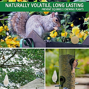 SUAVEC Squirrel Repellent, Chipmunk Repellent, Squirrel Deterrent Peppermint, Outdoor Squirrel Repellents for Garden, Indoor Repellent Squirrels for Attic, Keep Squirrel Away for Plants -8 Pack