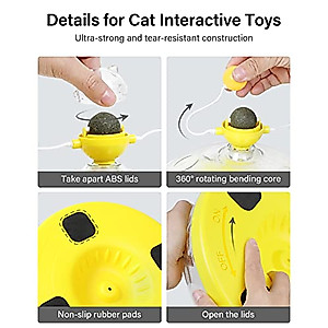 HOPET Interactive Cat Toy for Indoor Cats, Catnip Balls Roller Tracks Exercise Balls Teaser, Kitten Feeder Stimulation Toys Gifts for Pets Cats Lover Women Men