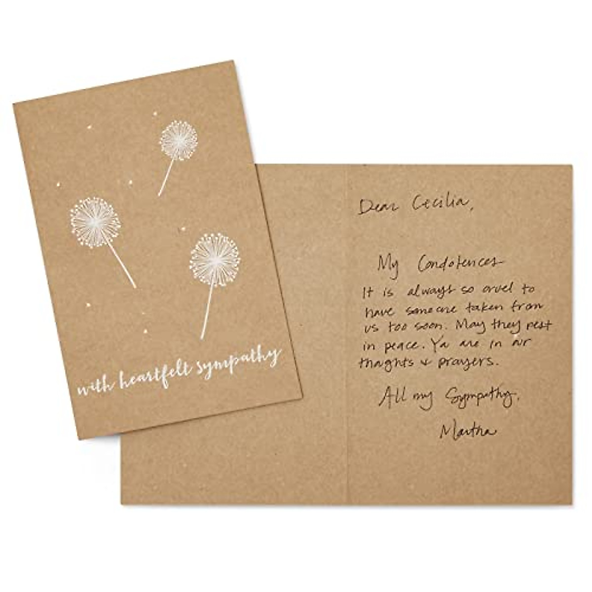 36 Pack Blank Sympathy Cards with Envelopes, Bulk Kraft Paper Condolence Cards with Envelopes for Bereavement, Thinking of You, White Dandelion Design, Blank Inside (4x6 In)