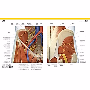 The Complete Human Body, 2nd Edition: The Definitive Visual Guide (DK Human Body Guides)