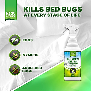 Eco Defense Bed Bug Killer - USDA Biobased, Bed Bug Spray & Dust Mite Spray - Natural Repellent Treatment - 16 oz