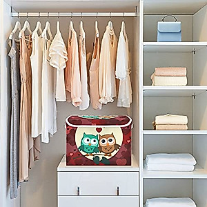 innewgogo Owls Valentines Day Storage Bins with Lids for Organizing Storage Baskets with Handles Oxford Cloth Storage Cube Box for Dog Toys