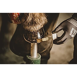 Kevin Bacon Liquid Dressing Hoof Oil 500ml Clear