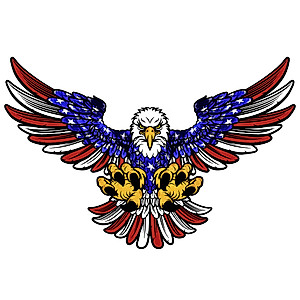 Rogue River Tactical Large 10"x6" American Eagle USA Flag Car Decal Window Die Cut Patriotic Auto Bumper Sticker Vinyl Decal for Car Truck RV SUV Boat Support US Military