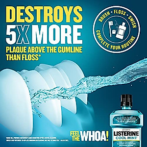 Listerine Cool Mint Antiseptic Mouthwash to Kill 99% of Germs That Cause Bad Breath, Plaque and Gingivitis, Cool Mint Flavor, 1 L (Pack of 2)