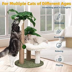 Cat Scratching Post Palm Tree with Bed Cloud Cute Cat Tree for Indoor Large Cats 3 Scratching Poles Sisal Hanging Balls for Cat Perch Cat Scratcher for Kitten and Adult Cats Tower Climber