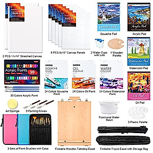 170 Pcs Artist Painting Set, Shuttle Art Deluxe Art Set with Paint, Aluminum and Wooden Easels, Canvas, Paper Pads, Brushes and Other Art Supplies, Complete Painting Kit for Adults, Kids and Artists