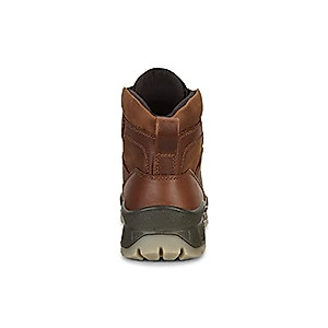 ECCO mens Track 25 High Gore-tex Hiking Boot, Bison/Bison Oil Nubuck, 11-11.5 US