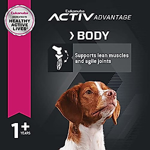 Eukanuba Adult Medium Breed Dry Dog Food, 30 lb